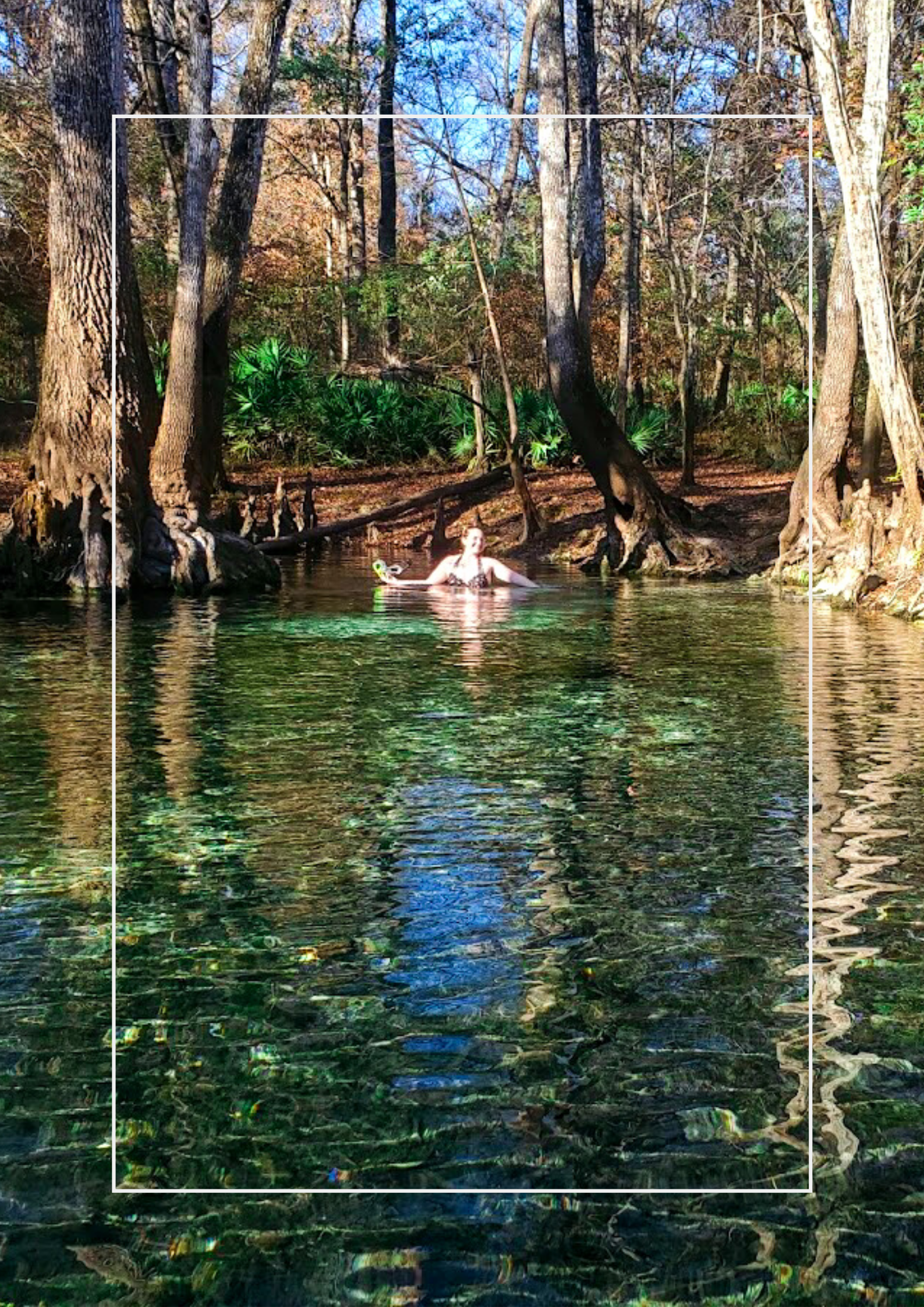 The Ultimate Guide to High Springs, Florida - Treks with Beks