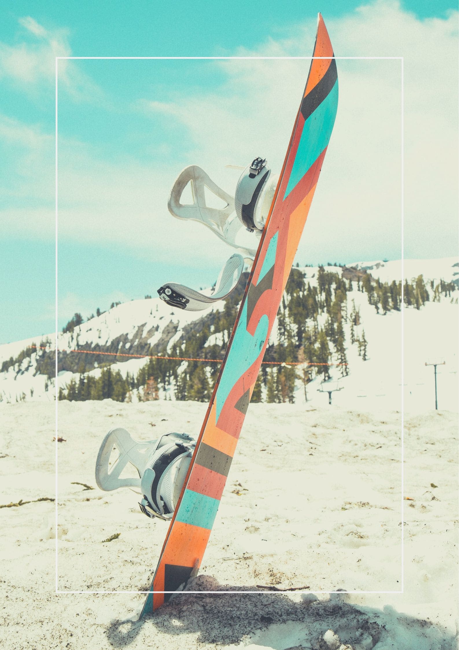 Ultimate Guide to Snowboard Types (& Which One to Purchase)